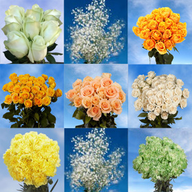 Flowers for Wedding Bouquets Roses Carnations Spray Roses Greenery ...