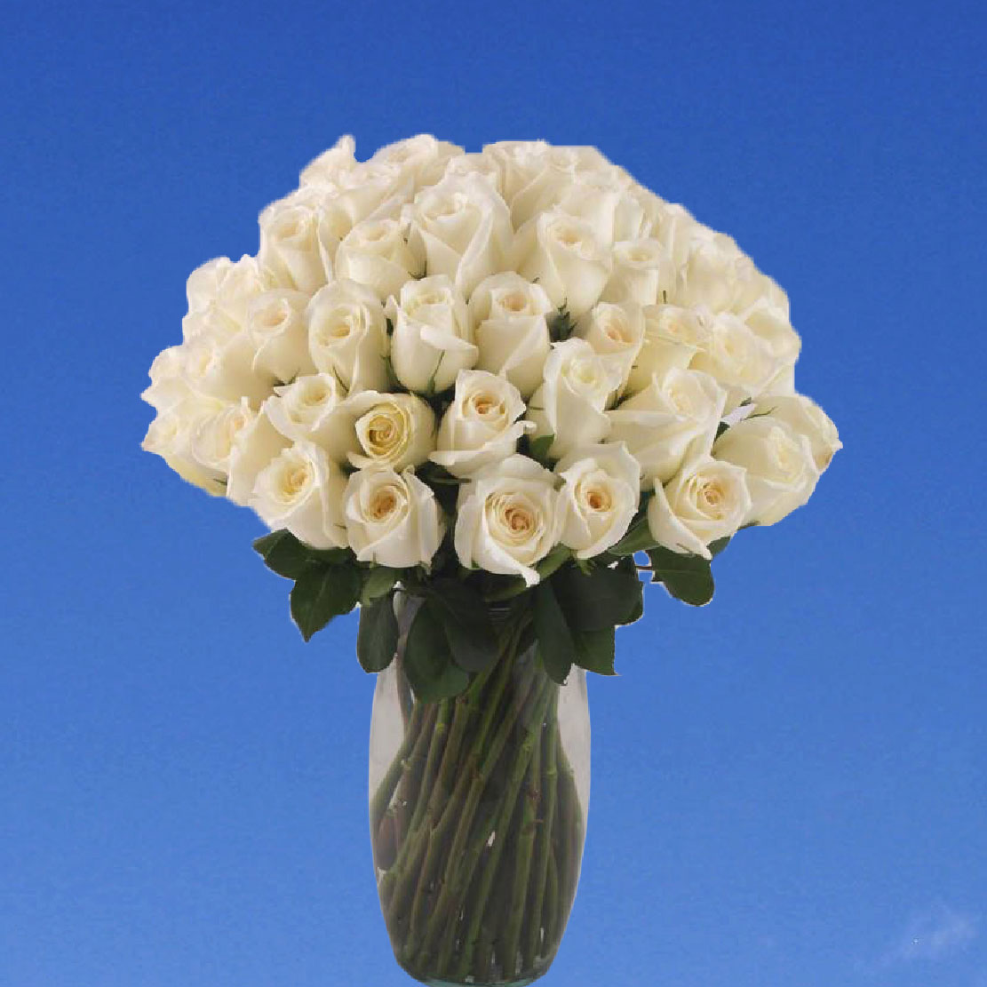 White Flowers Arrangements White Roses with Vase | Global Rose