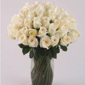 Gracious 36 White Roses With Vase | Vindu