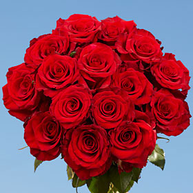 75 Long Stem Roses Red Paris Roses Beautiful | Voonu