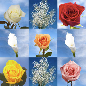Wedding Combo Roses Your Choice Special White Callas Greenery | Global Rose