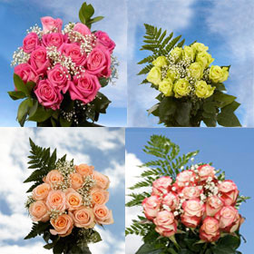 Beautiful Dozens of Assorted Colors of Roses with Fillers | Global Rose
