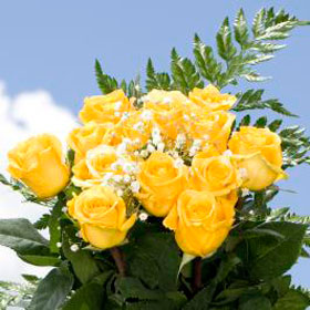 6 Dozen Assorted Color Elegant Roses Long 72 & Fillers | Vindu