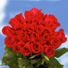 Madame Delbard Roses Long 75 | Flowers