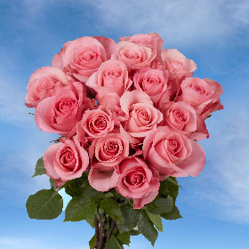Order Bulk Roses Online Cheap | Global Rose