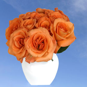 Order Dozens of Assorted Colors of Elegant Roses | Global Rose