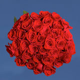 Next Day Roses Delivery | Global Rose