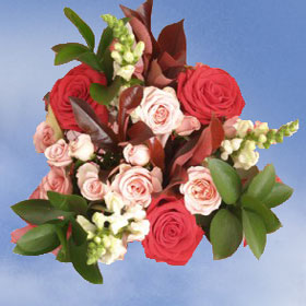 Valentines Day Arrangements Specials | Global Rose