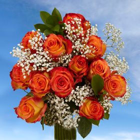 Vibrant Dozens of Assorted Colors of Roses with Fillers | Global Rose