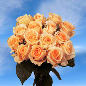 Wholesale Valentine's Day Flowers | Global Rose