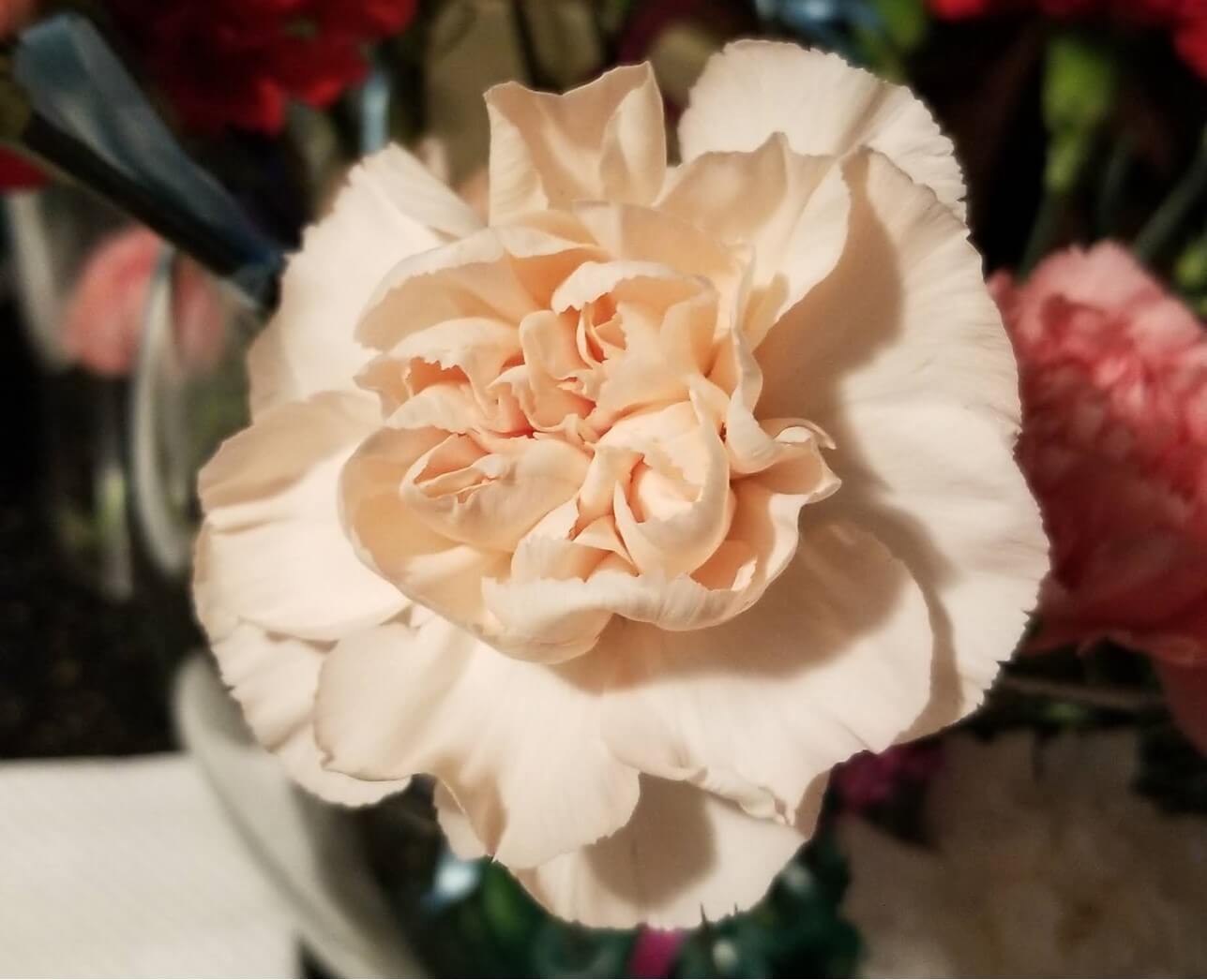 GlobalRose: Testimonials